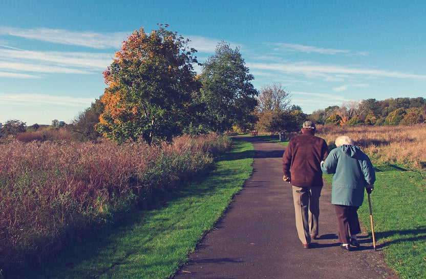 Balance Professional – Shuttle Systems